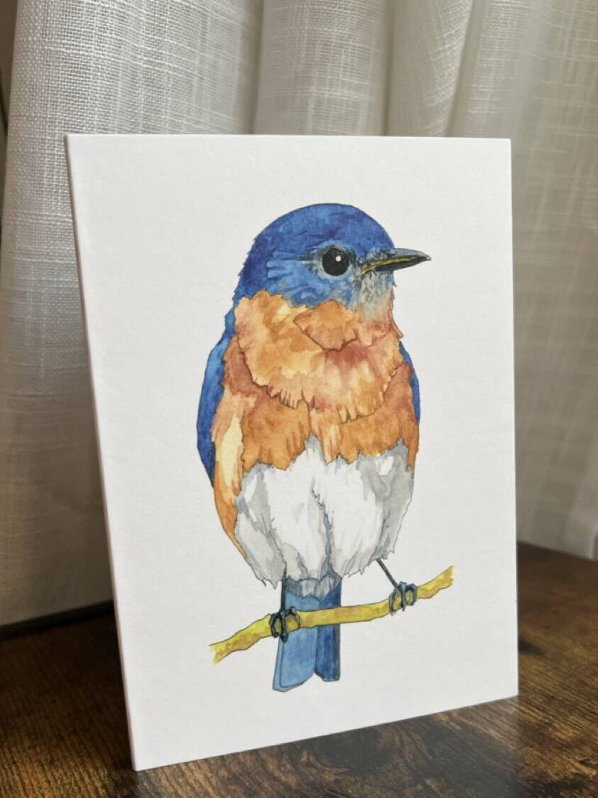 Blank Greeting Cards